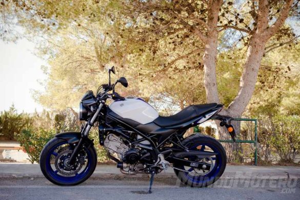 Suzuki SV650 / X 2022 Prueba, Precio y Ficha Técnica