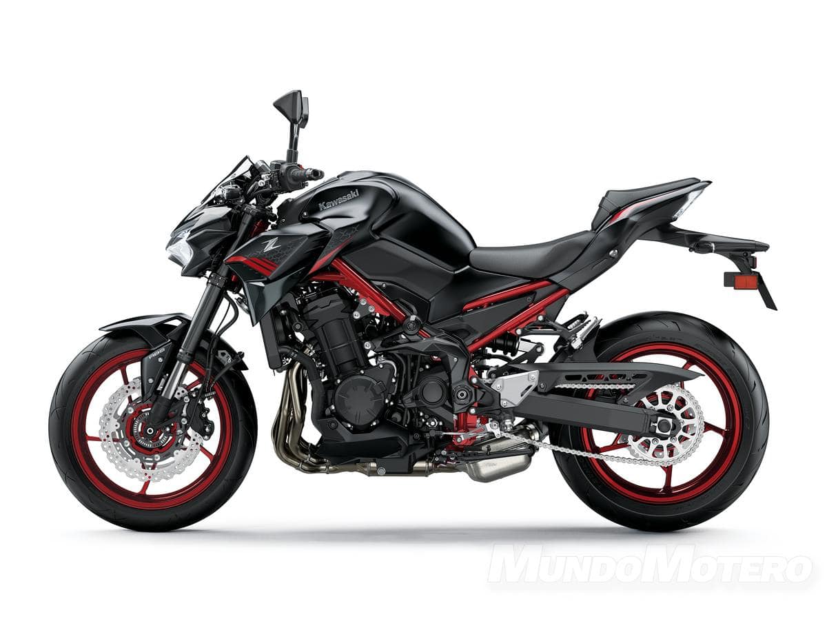 Kawasaki Z900 / A2 Precio, Ficha Técnica | MundoMotero.com